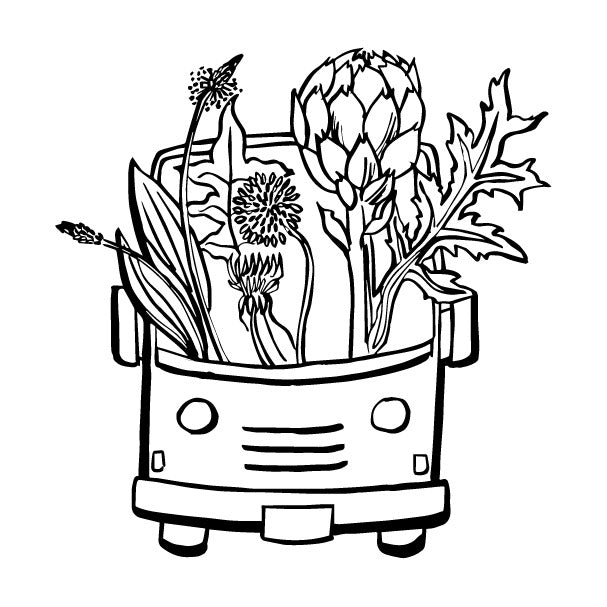 The Botanical Bus: Bilingual Mobile Herb Clinic – Farmacopia
