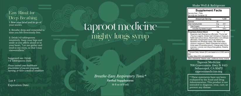 Mighty Lungs Syrup- formerly Strong Lung Syrup – Farmacopia