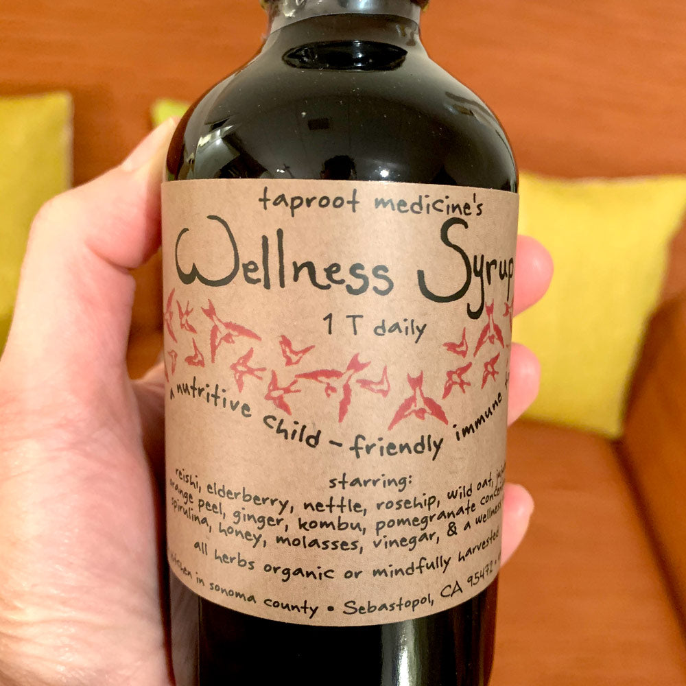Well-Being Syrup (formerly Wellness Syrup) – Farmacopia